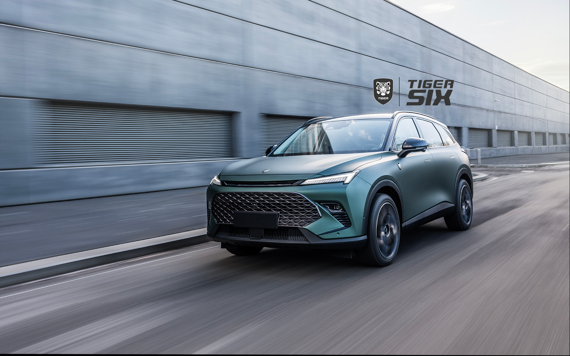 Tiger SIX - Guagliumi Cars